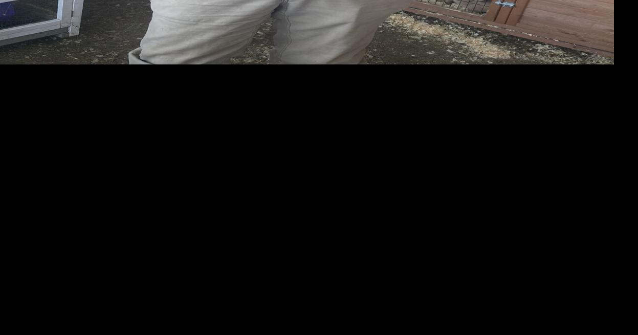 Gordon Dossett Tourist at home | North Meadow Farm: Tours, cheese and a ...