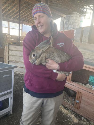 Gordon Dossett Tourist at home | North Meadow Farm: Tours, cheese and a ...