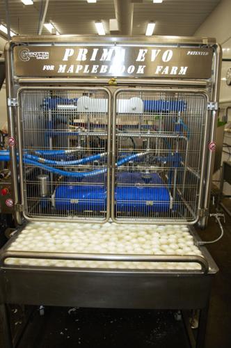 Cheesmaking through generations with a sense of pride | Business ...