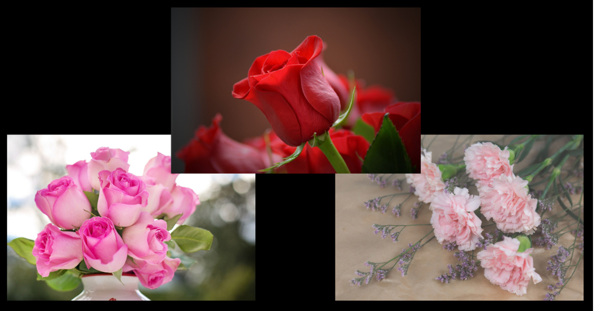 Gifting flowers for Valentine's Day? Know their different meanings and ...