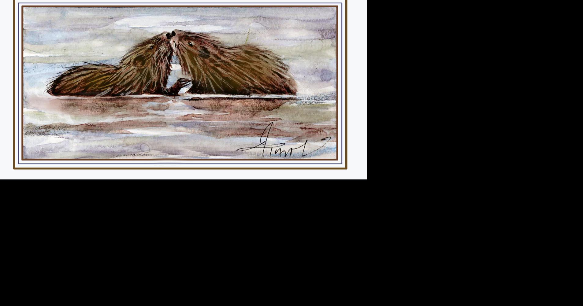 The Outside Story: Mating rituals of muskrats | Outdoors ...