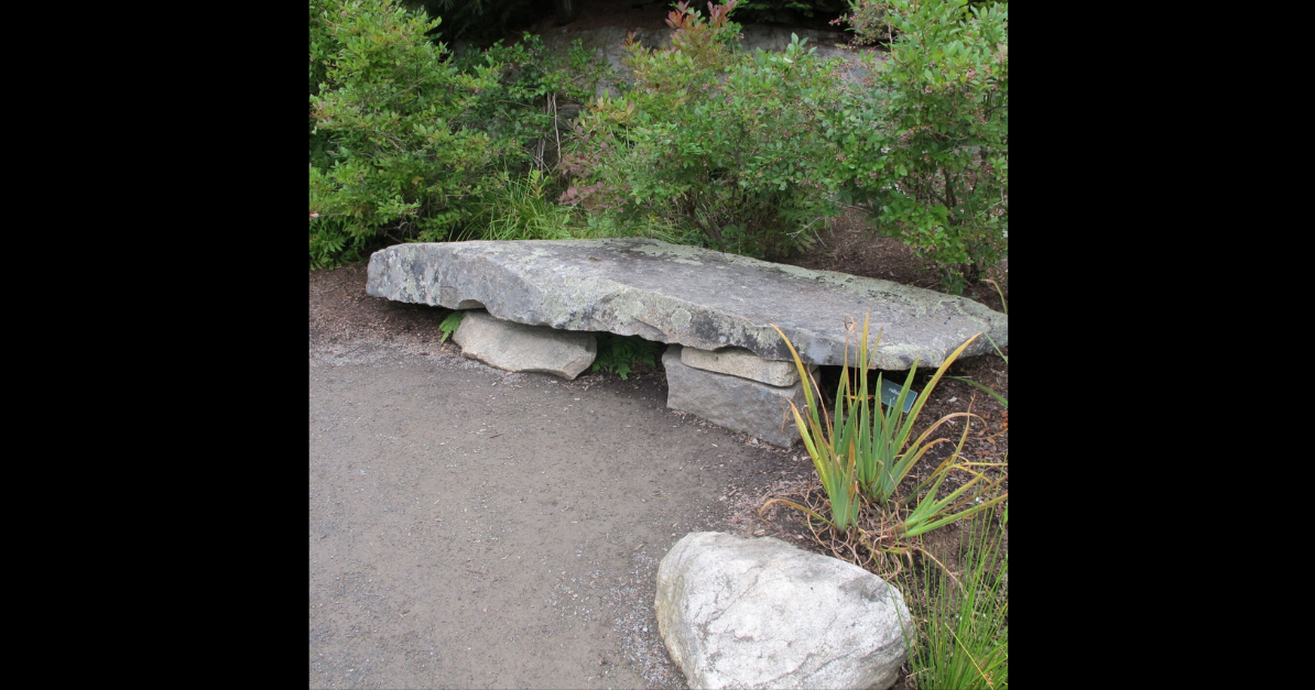 Henry Homeyer | Notes from the Garden: A year in the garden | Outdoors ...