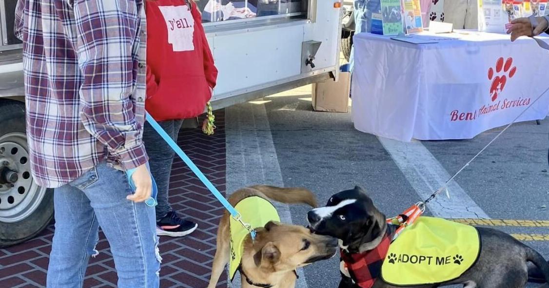 Benton Animal Services earns recognition as ‘no kill shelter’ | News ...