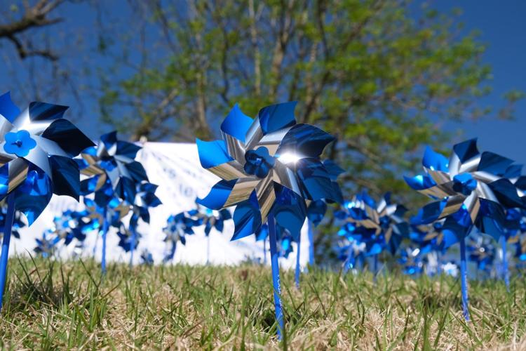Pinwheels placed on the Courthouse lawn for Child Abuse Awareness ...