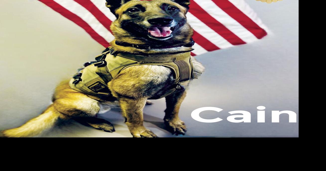 SCSO reports death of K9 Cain | News | bentoncourier.com