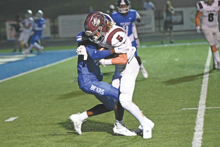 Panthers shake off slow start in rout | Sports | bentoncourier.com