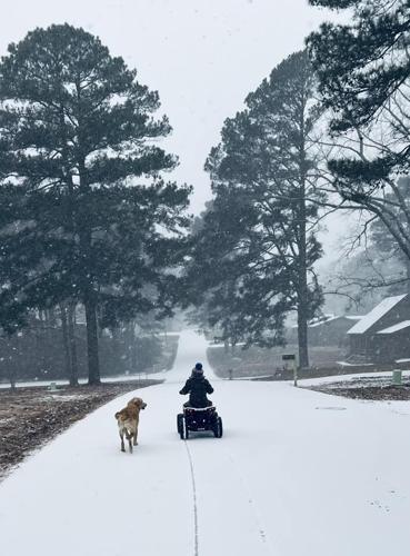 'Snow Daze' | News | bentoncourier.com