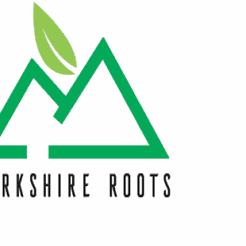 Berkshire Roots | berkshire roots | cannabis | Pittsfield, MA ...