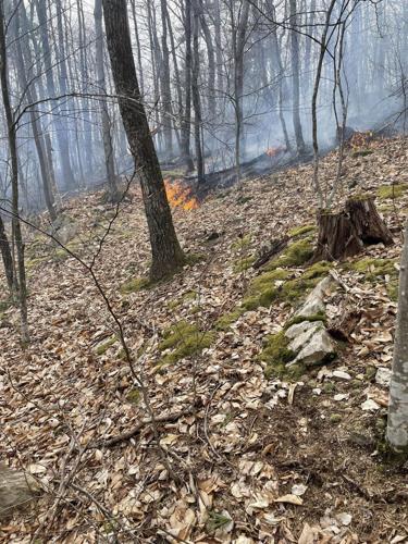 Berkshire firefighters helped stamp out a brush fire in Pownal, Vt. It ...