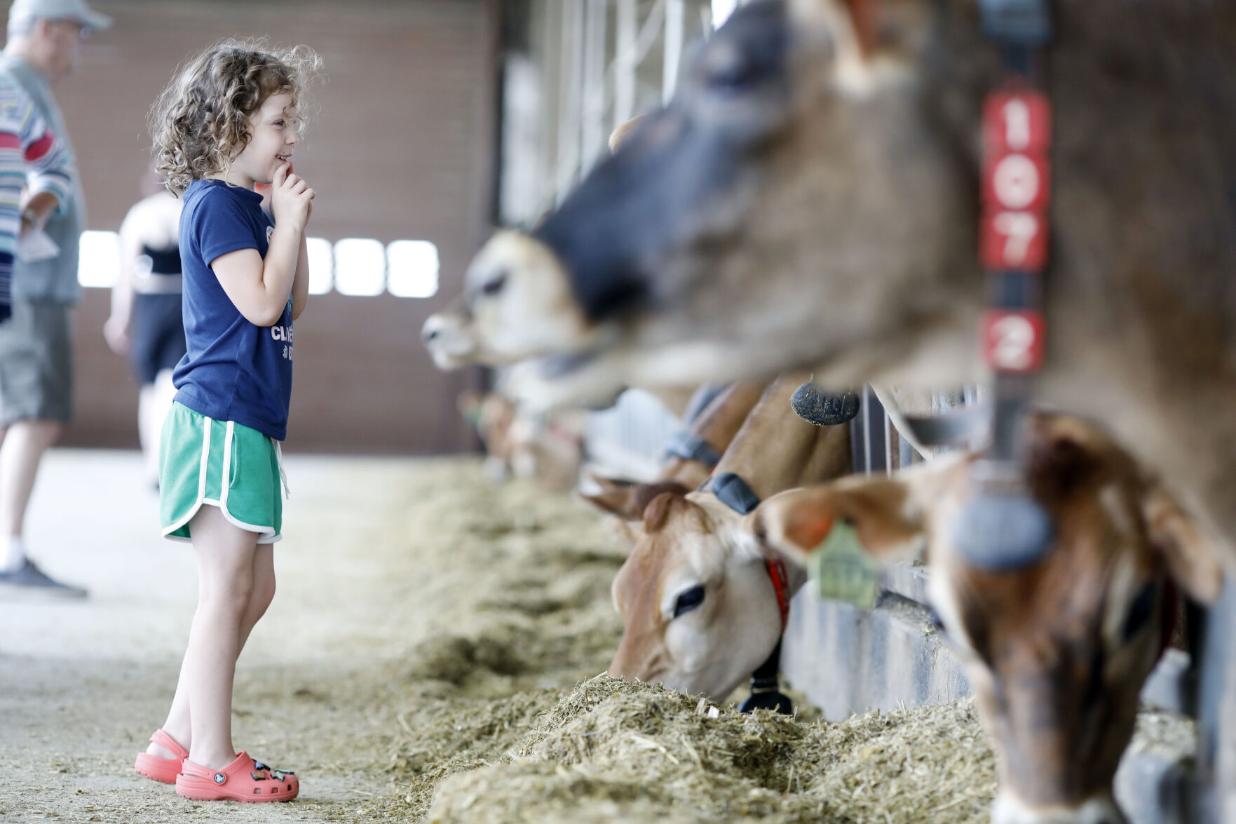 High Lawn Farm in Lee celebrates 100 years of dairy | Local News ...