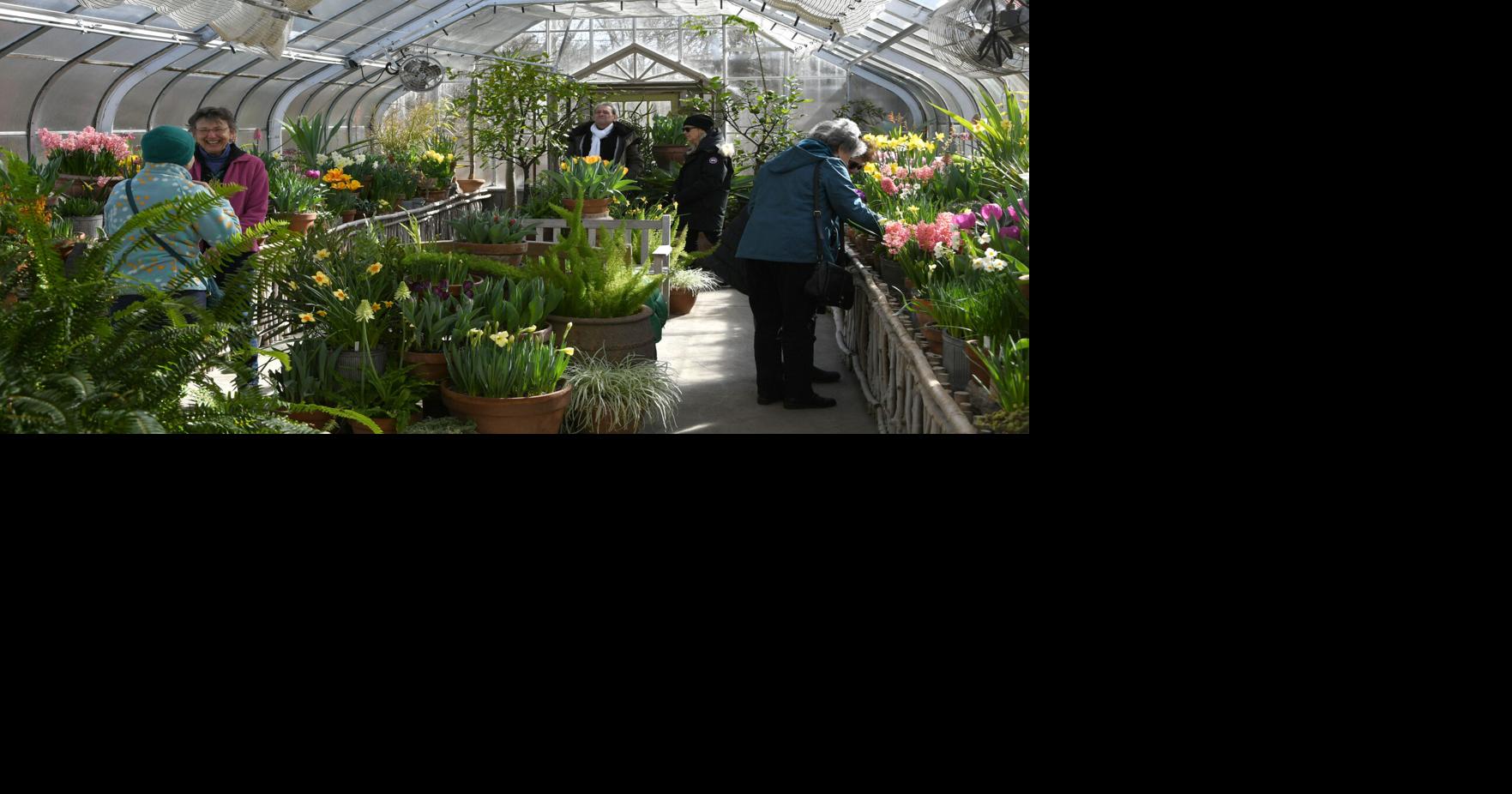 Photos: Bulb show at the Berkshire Botanical Garden | Multimedia | The ...
