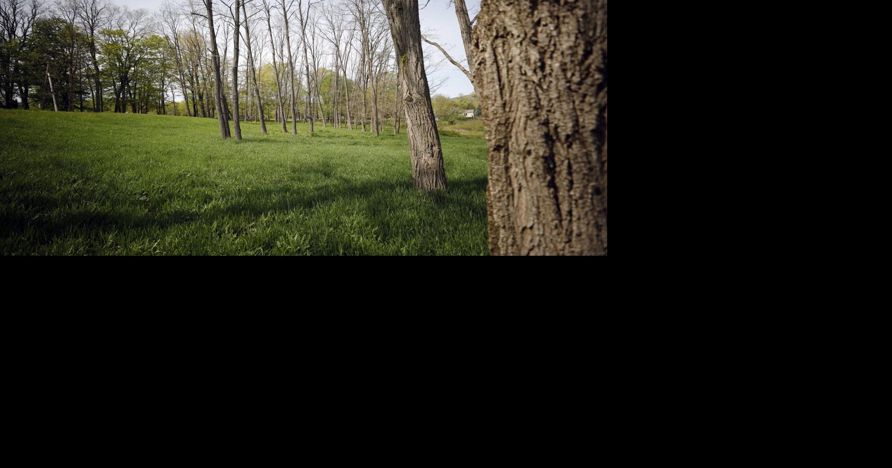 Stockbridge-Munsee Community seeks to recover ancestral homeland at ...