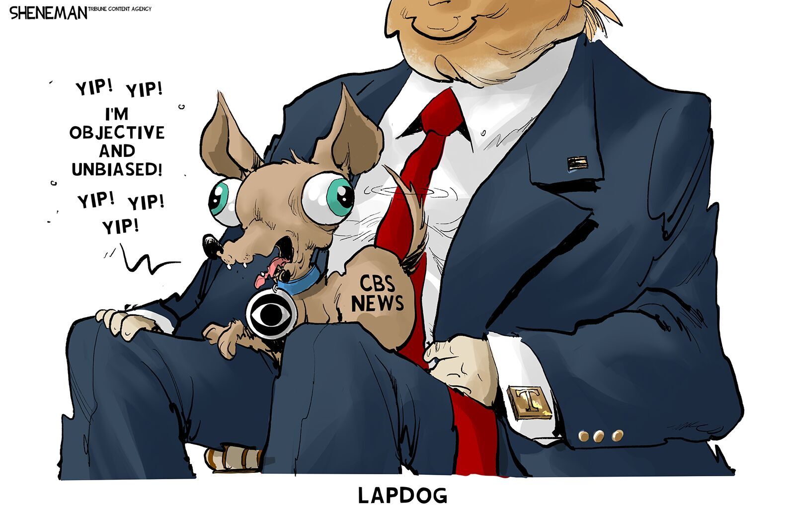 Drew Sheneman cartoon | | berkshireeagle.com