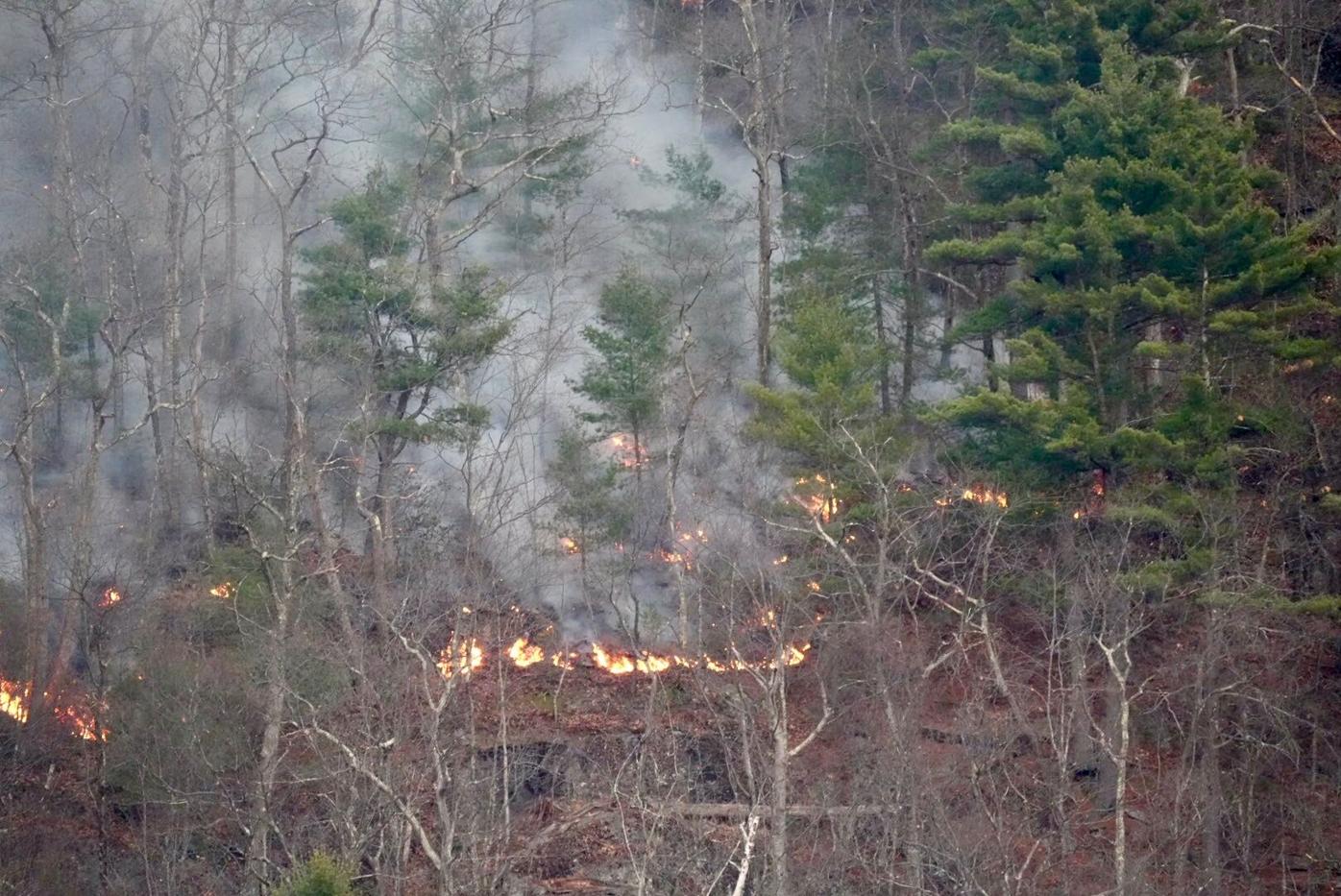 forest fire sheffield