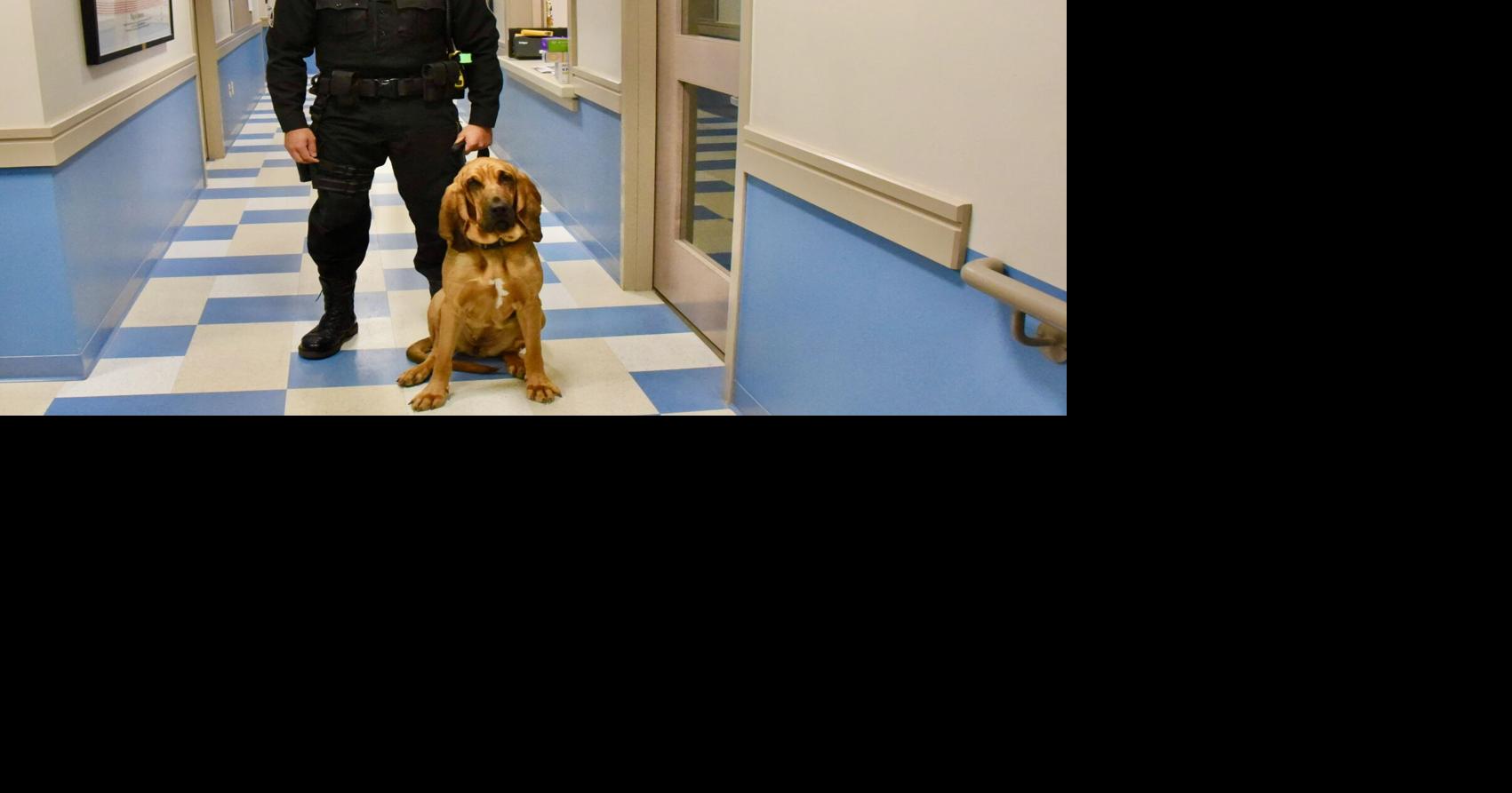 Williamstown Police enlist new K-9 team | Local News | berkshireeagle.com
