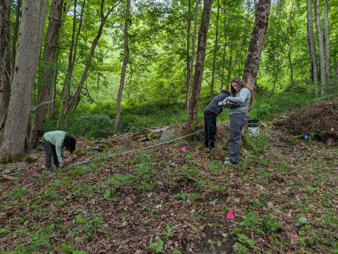 In Tyringham woods, archaeology brings a vanished Shaker community back ...