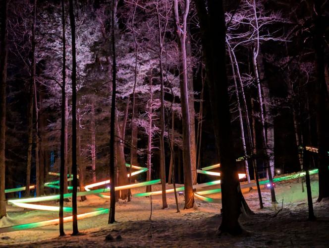 PHOTOS: 2025 NightWood at The Mount | Multimedia | berkshireeagle.com