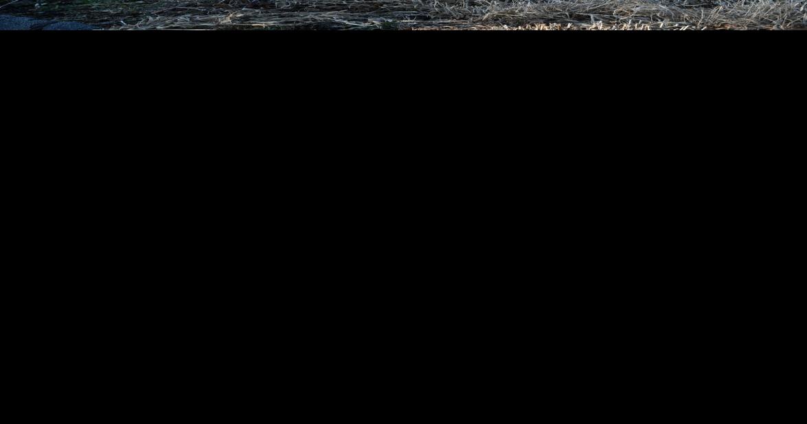 Waubeeka Golf Links sign | | berkshireeagle.com