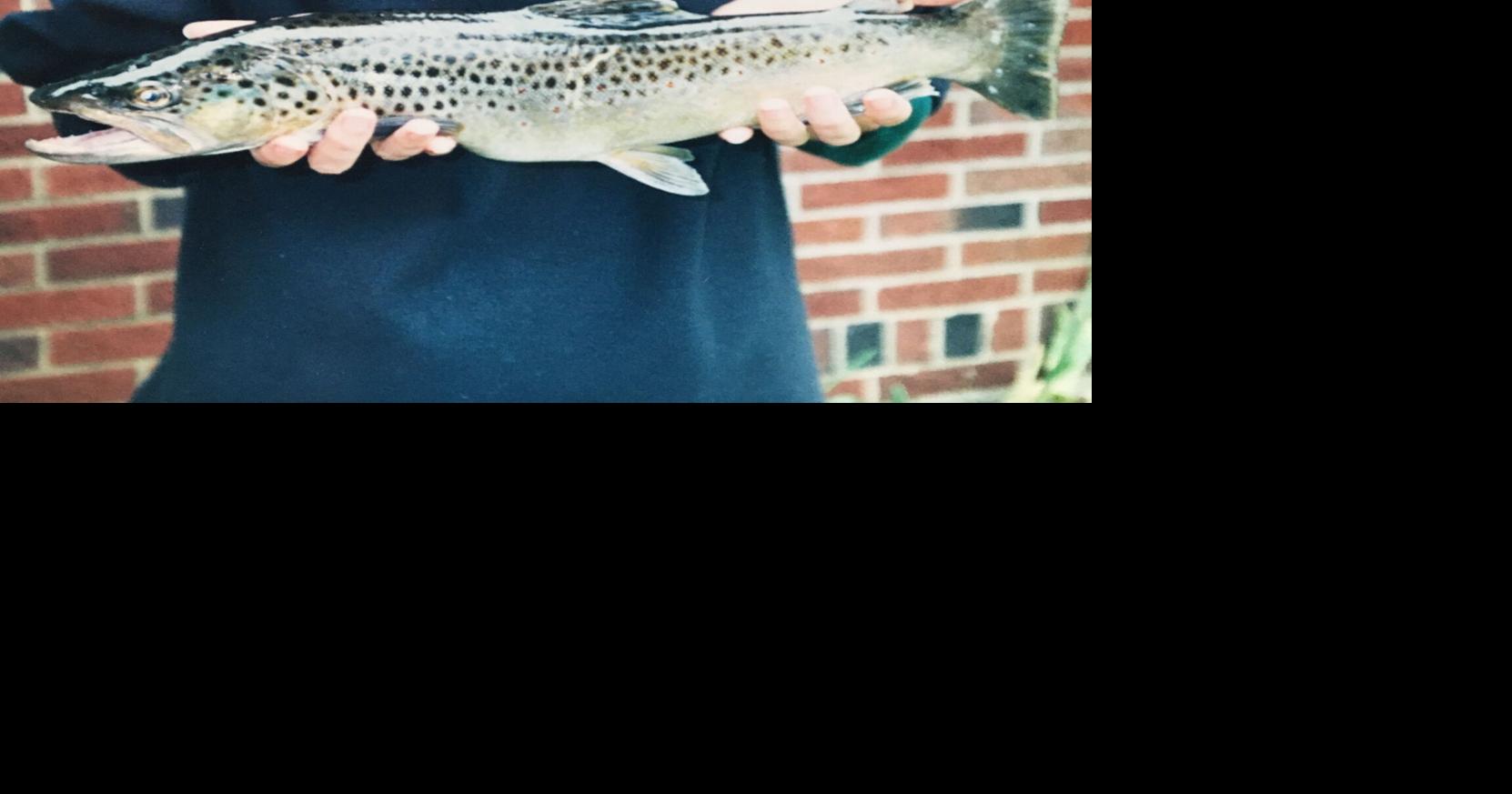 Brian Majewski: The tale of the Pumpkin Hollow brownie | Sports ...