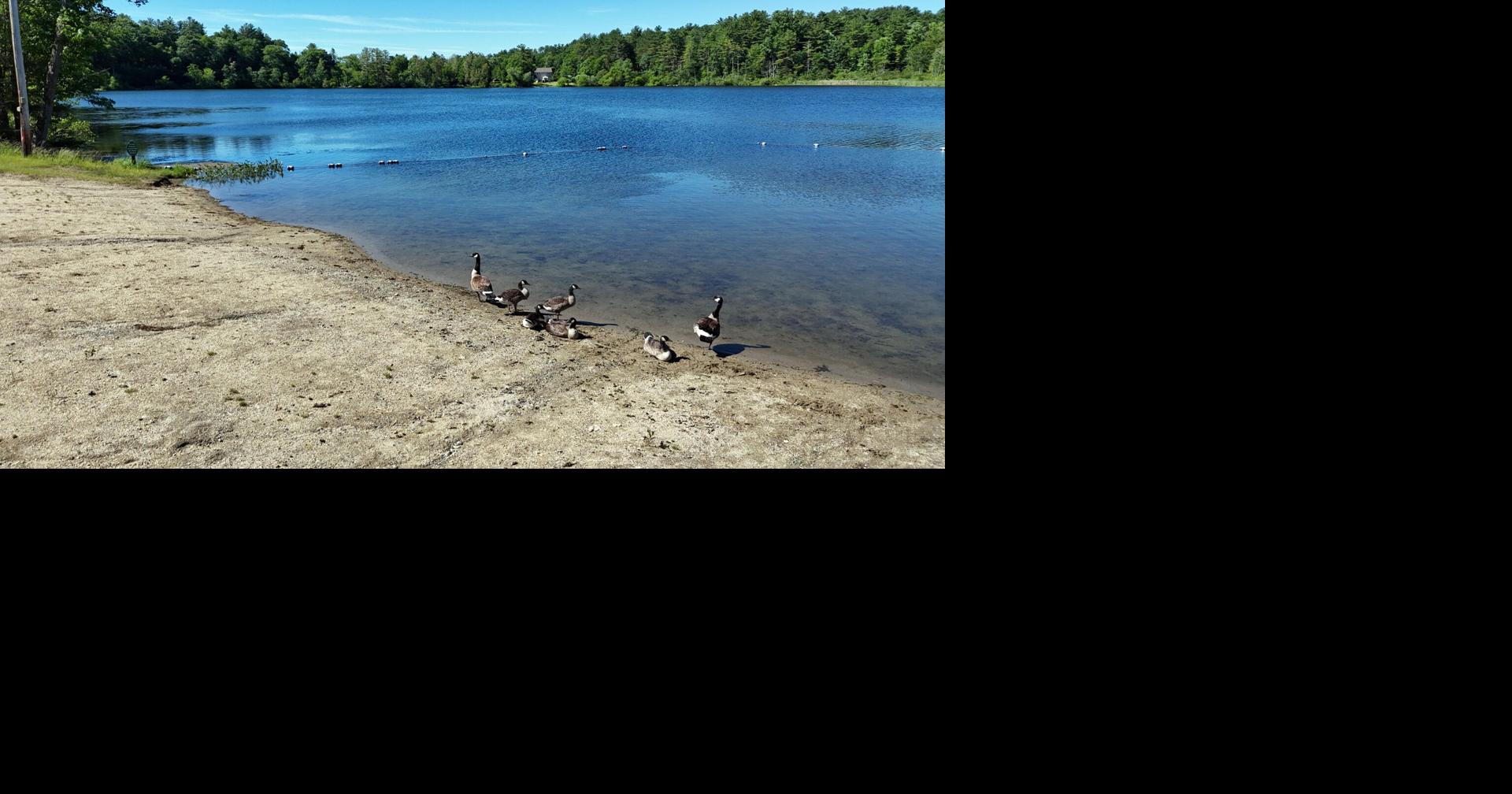 Lake Mansfield reopens for swimming after Great Barrington residents ...