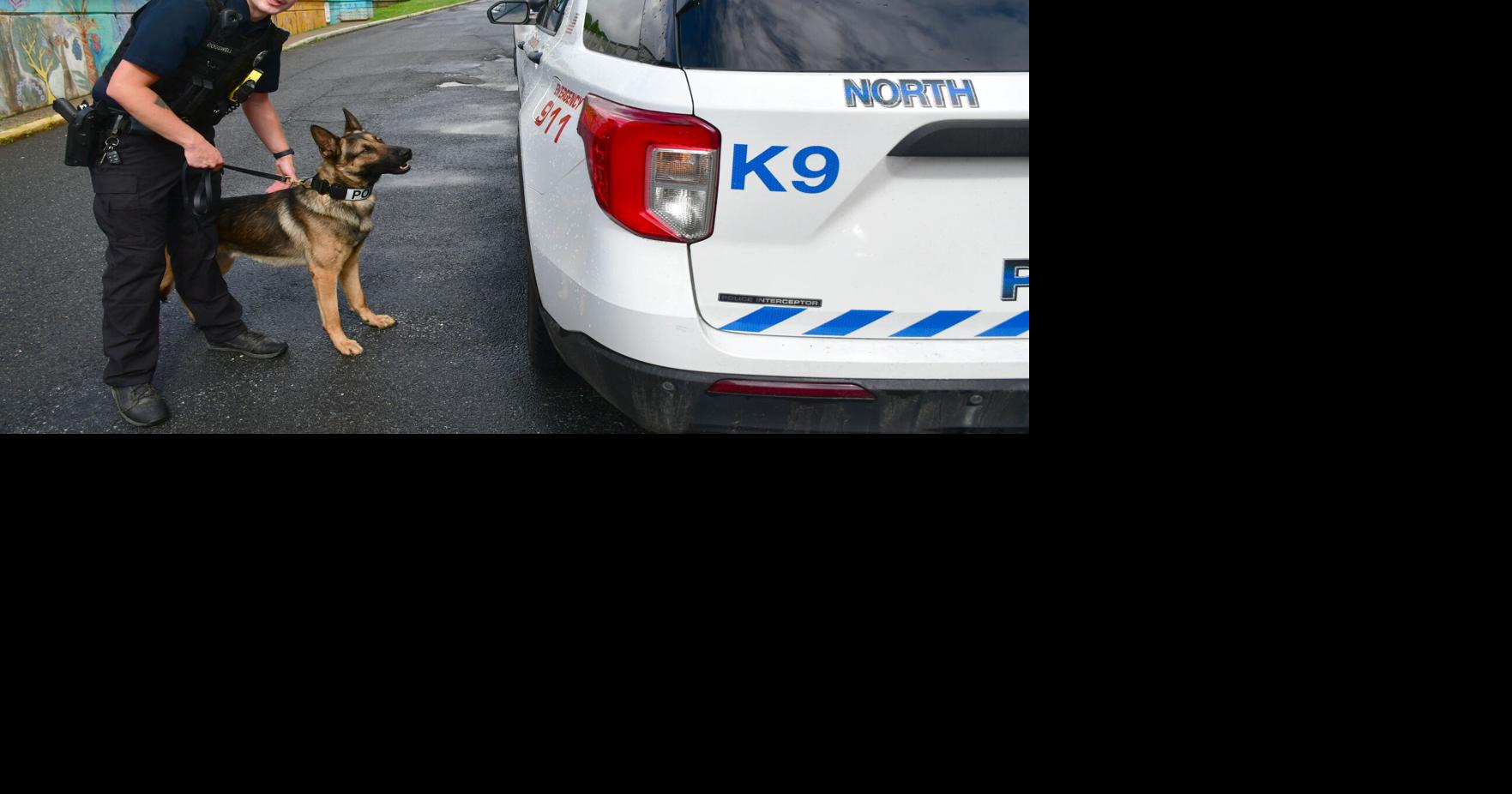The North Adams Police Department has a working police dog, Rocky, for ...