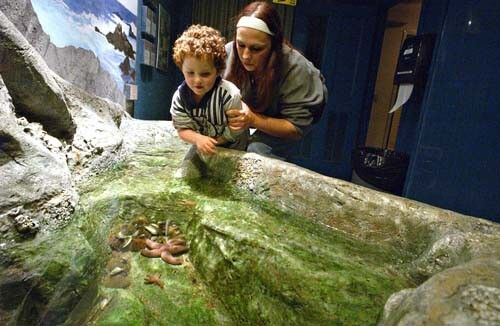 Showcase displays partnership | Archives | berkshireeagle.com