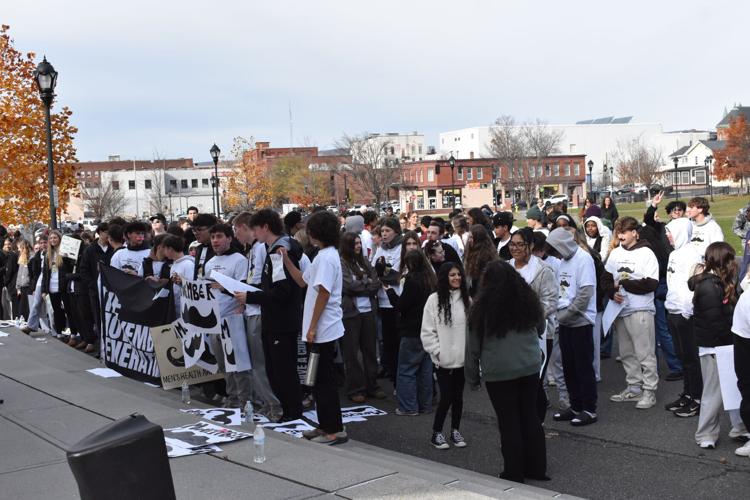 Photos: Pittsfield and Taconic 2025 Movember Walkathon | Multimedia ...