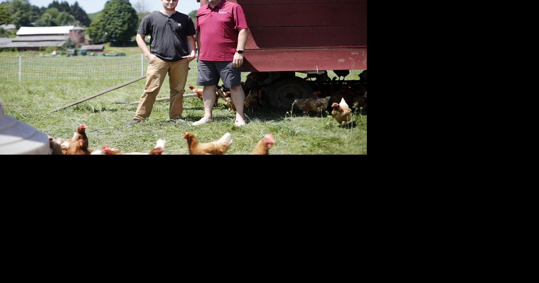 At Baldwin Farm, Declan Casey is laying down roots as part of its ninth ...