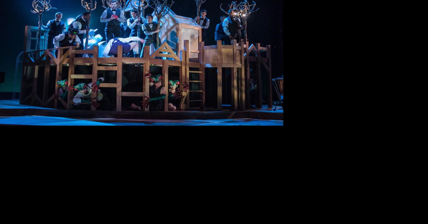 CRITIC'S NOTEBOOK: The future of opera takes shape at Williams Opera ...