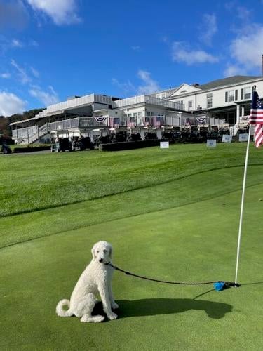 Golf Notebook: Country Club of Pittsfield hosts Vets Day; Set of irons ...