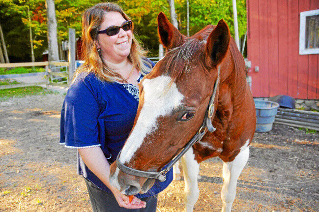 Dorset Equine Rescue giving second chances at life, one horse at a time ...