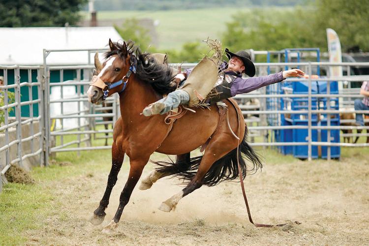 For some, rodeo at Adams Agricultural Fair seen as a horse of a ...