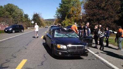 Update: Moose killed in Lee car accident, drivers survive | Local News ...