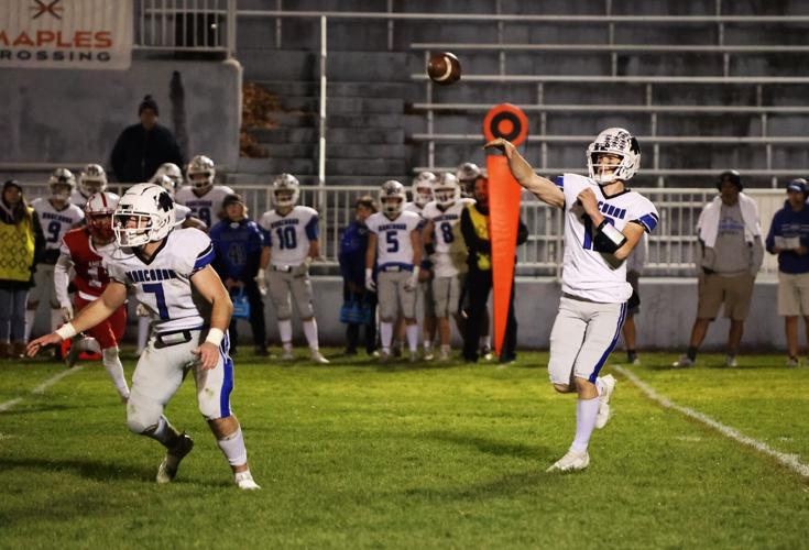 Photos: Wahconah football plays at Amesbury in state tournament ...