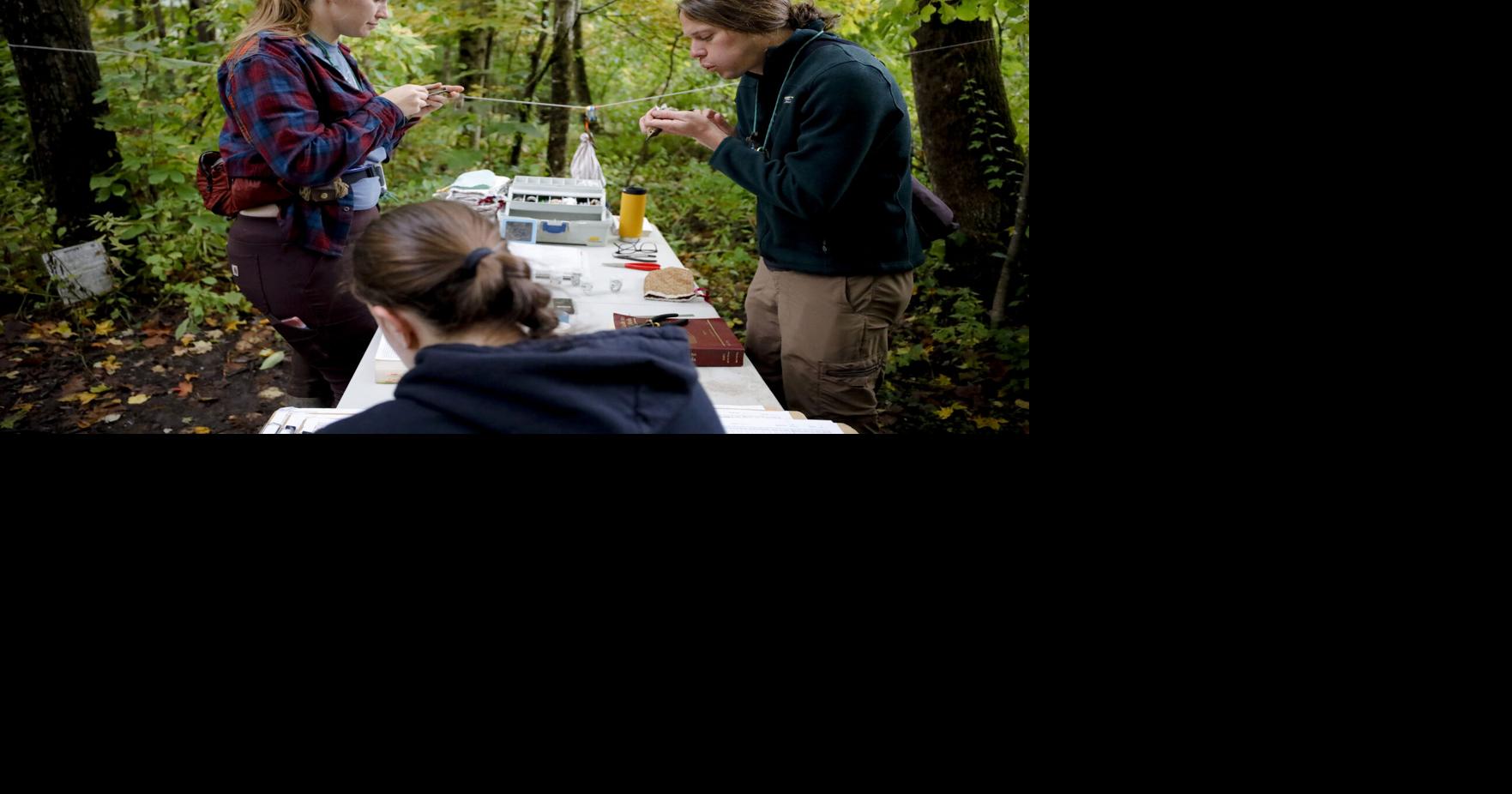 It S Peak Migration Season And The Berkshire Bird Observatory Is