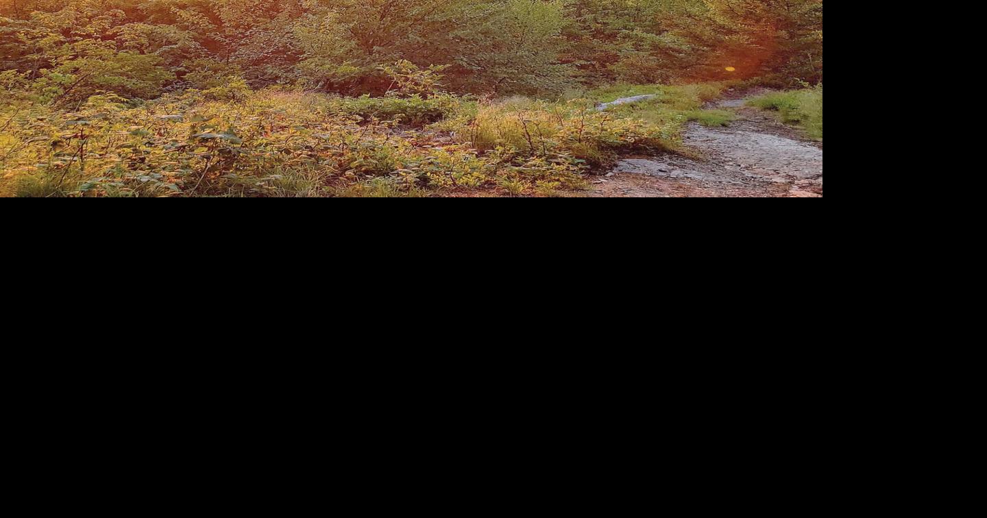 Hike Highlight | Hoosac Range Trail: Step away from your desk after a ...