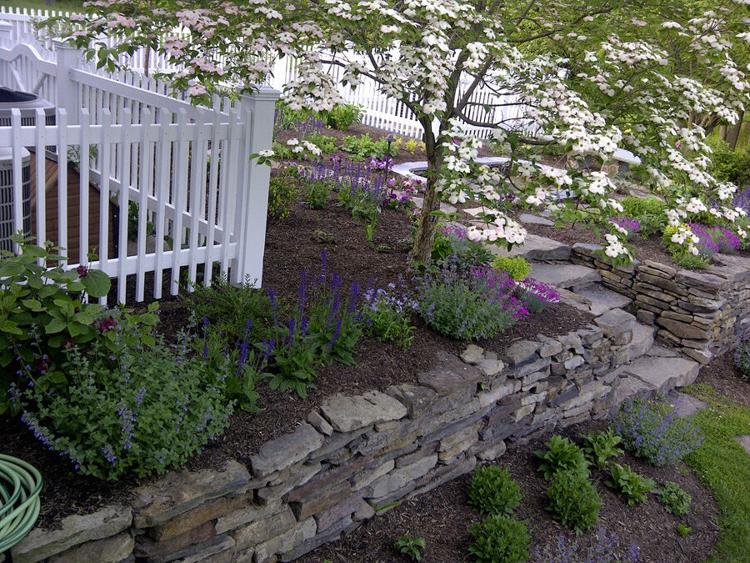 What's the benefit of a native plant garden? Being liberated from the ...