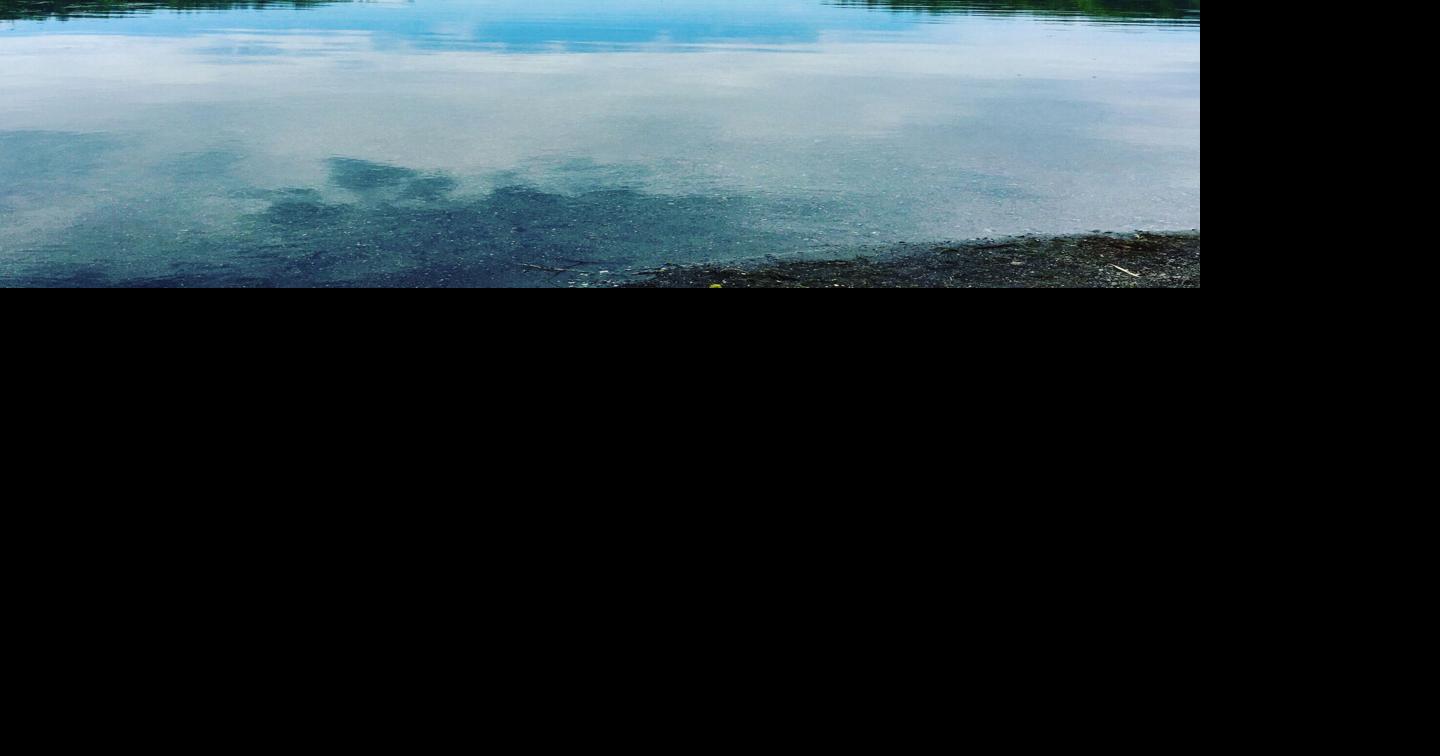 Sally-Jane Heit: As Great Barrington's aquatic jewel, Lake Mansfield is ...