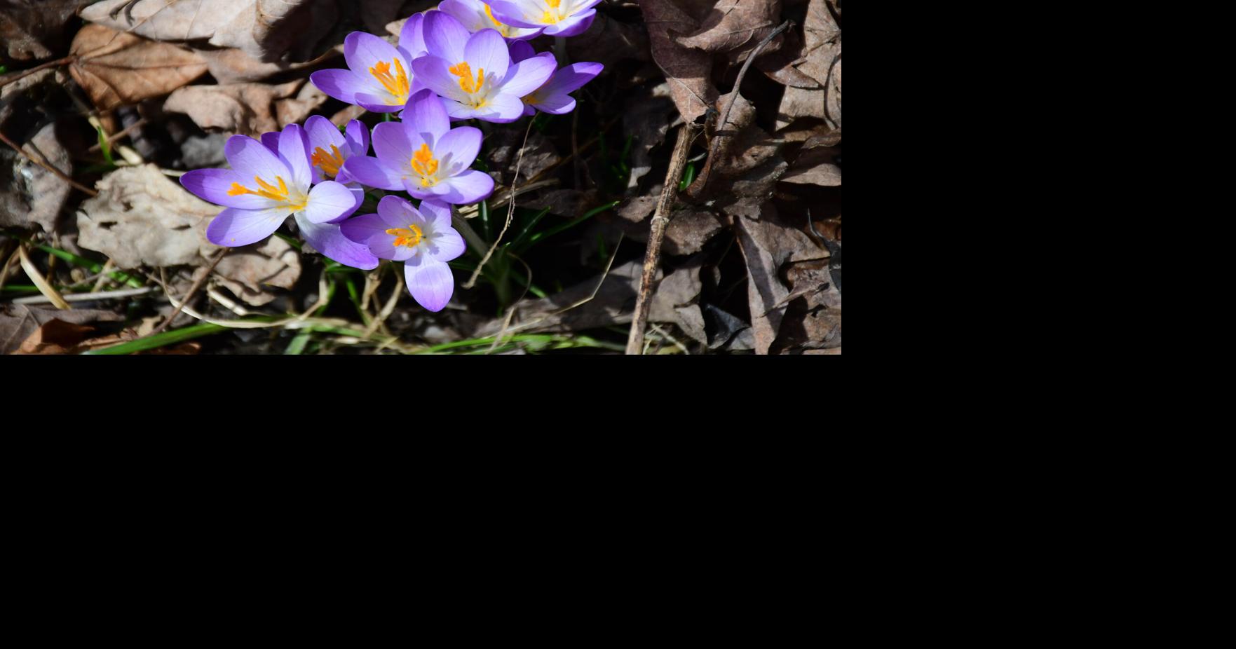 The calendar says spring. Now, it’s time for the weather to catch up ...