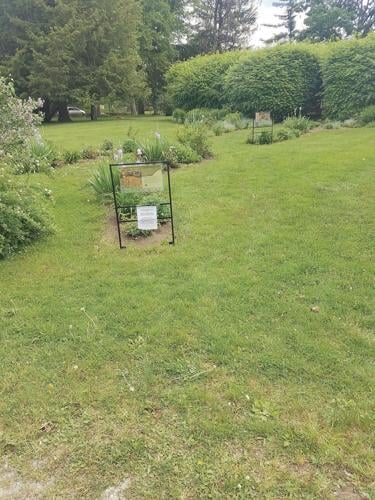 StoryWalk opens at Park-McCullough House | | The Berkshire Eagle