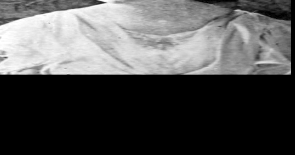 Did author Anna Helen Crofts exist? Check her gravestone | History ...