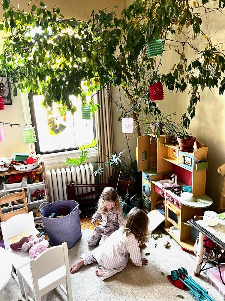 Has the time come to say goodbye to a beloved house plant? | Columnists ...