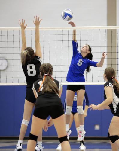 volleyball player spikes ball | | berkshireeagle.com