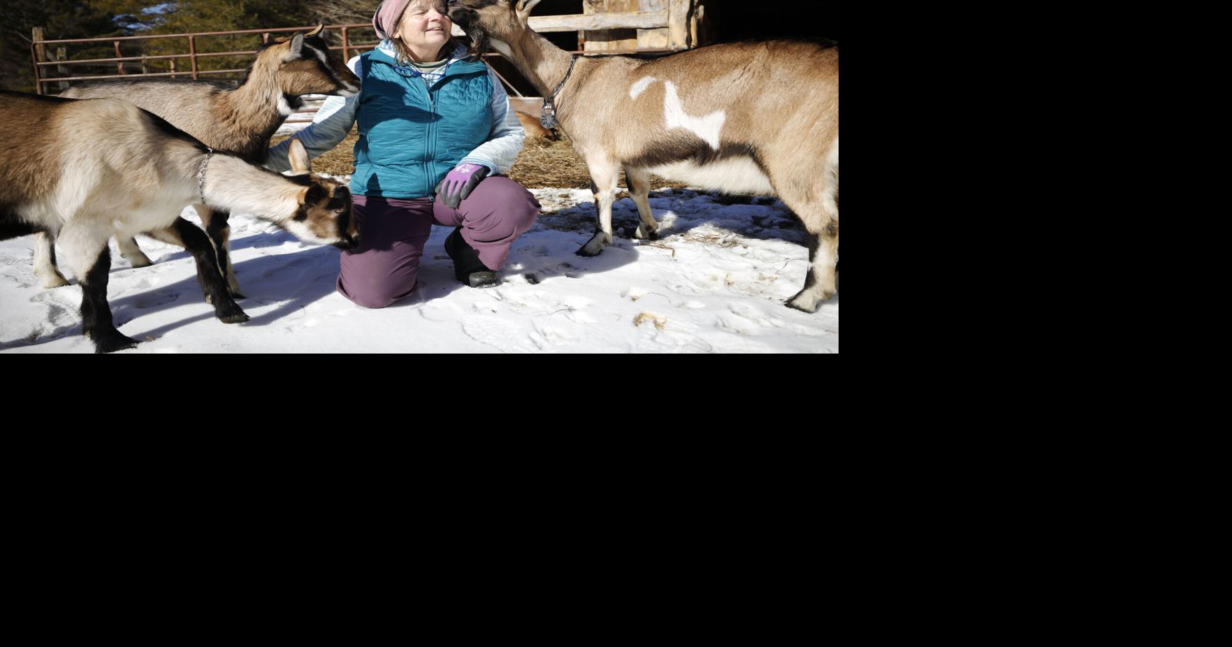 Susan Sellew of Rawson Brook Farm looks back on 39 years of cheese ...