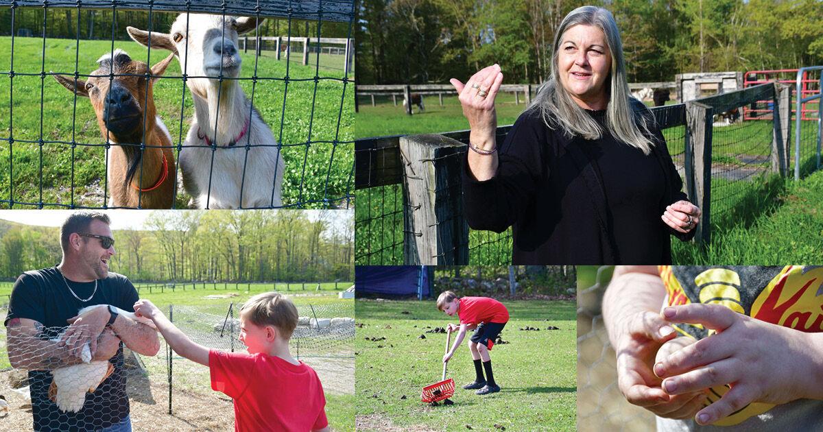 Students have a chance to experience farm life in former Governor Jane ...