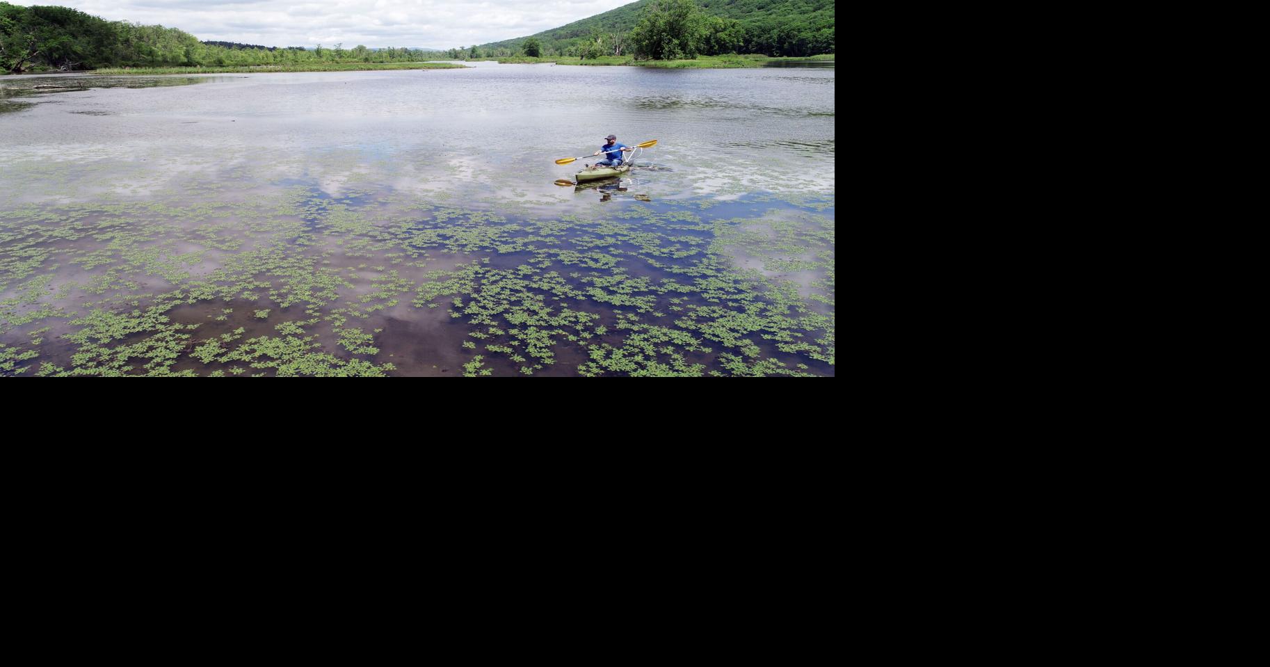 The final design for the PCB landfill is still a year away according to ...