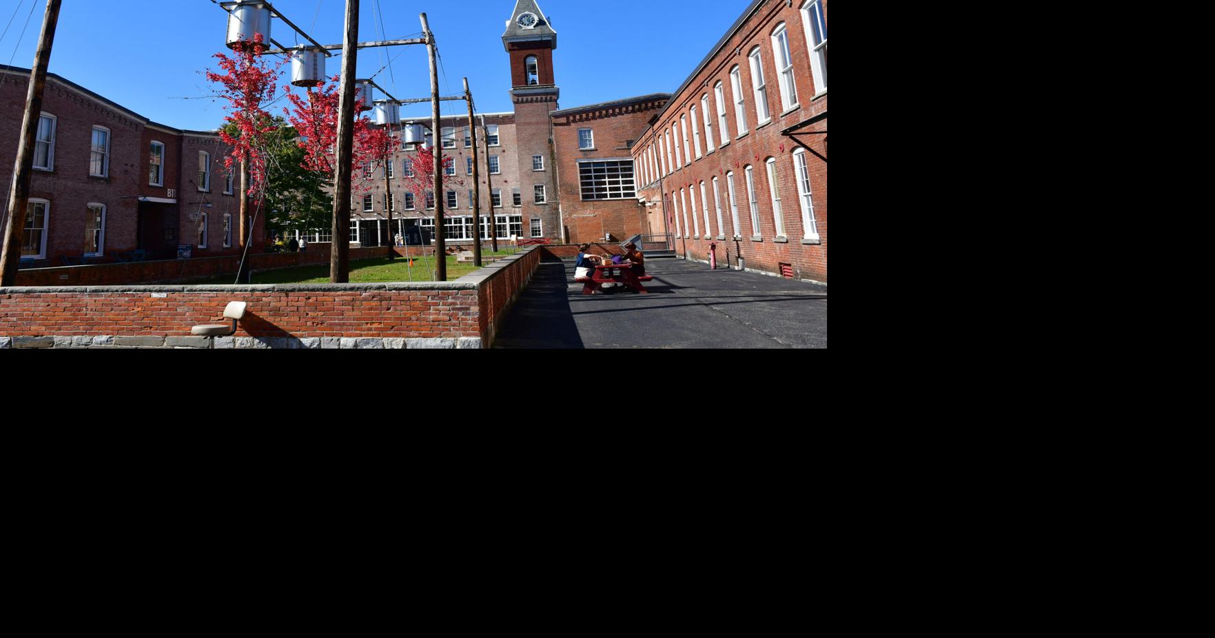 upside down tree studio