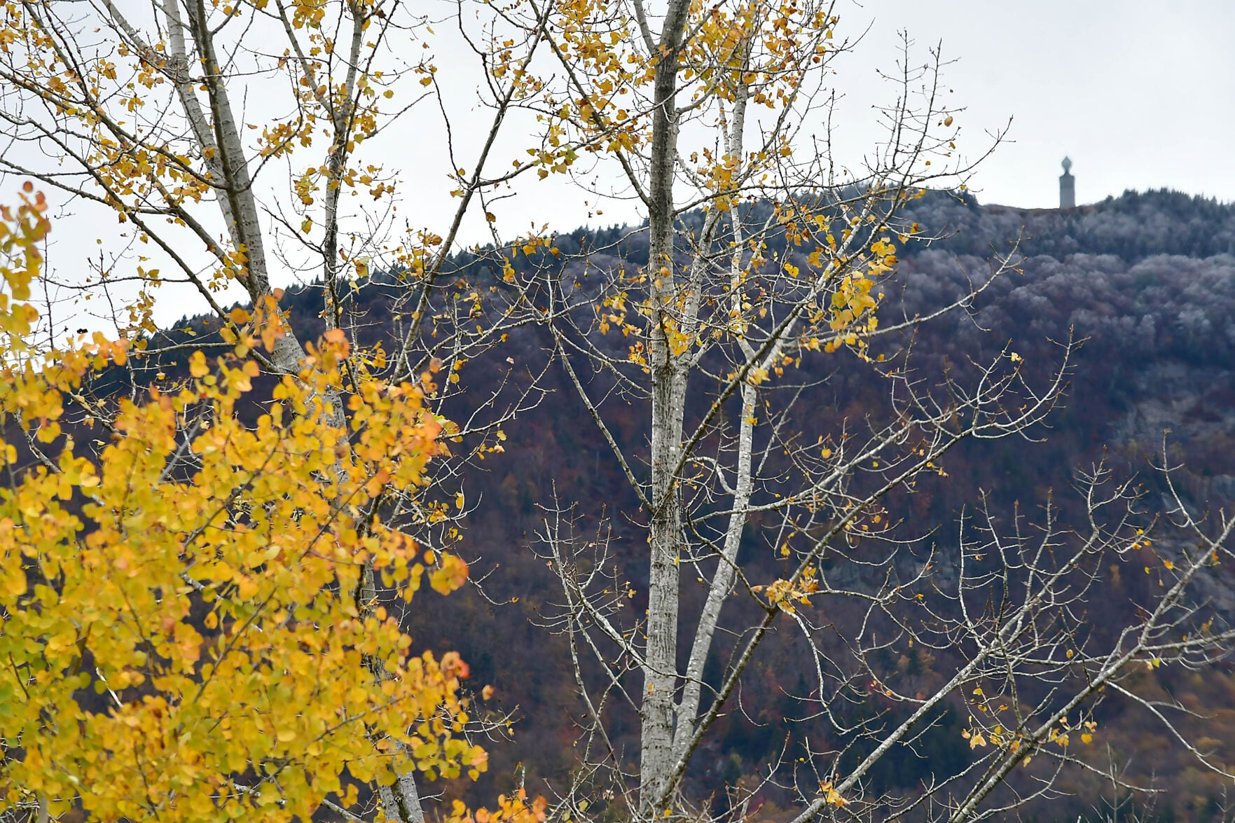 RambleFest and Greylock Ramble return to Adams this weekend | Northern ...