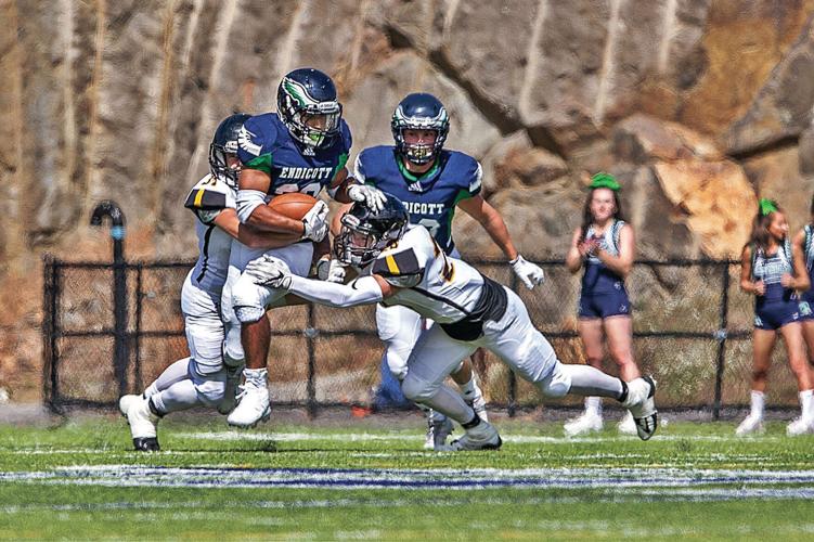 Anthony Whiteley is rookie of the week playing football at Endicott ...