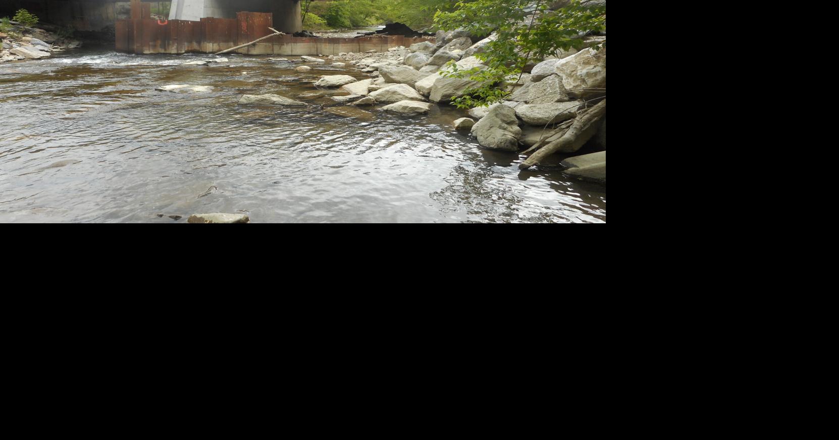 Lauren Stevens: The Linear Link trail, rebuilt and reopened in ...